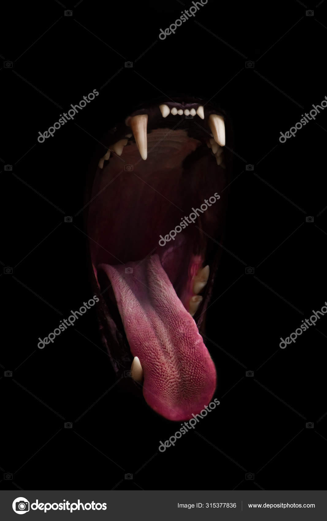 Toothy fanged red gluttonous mouth of a predatory beast (liones — Stock ...