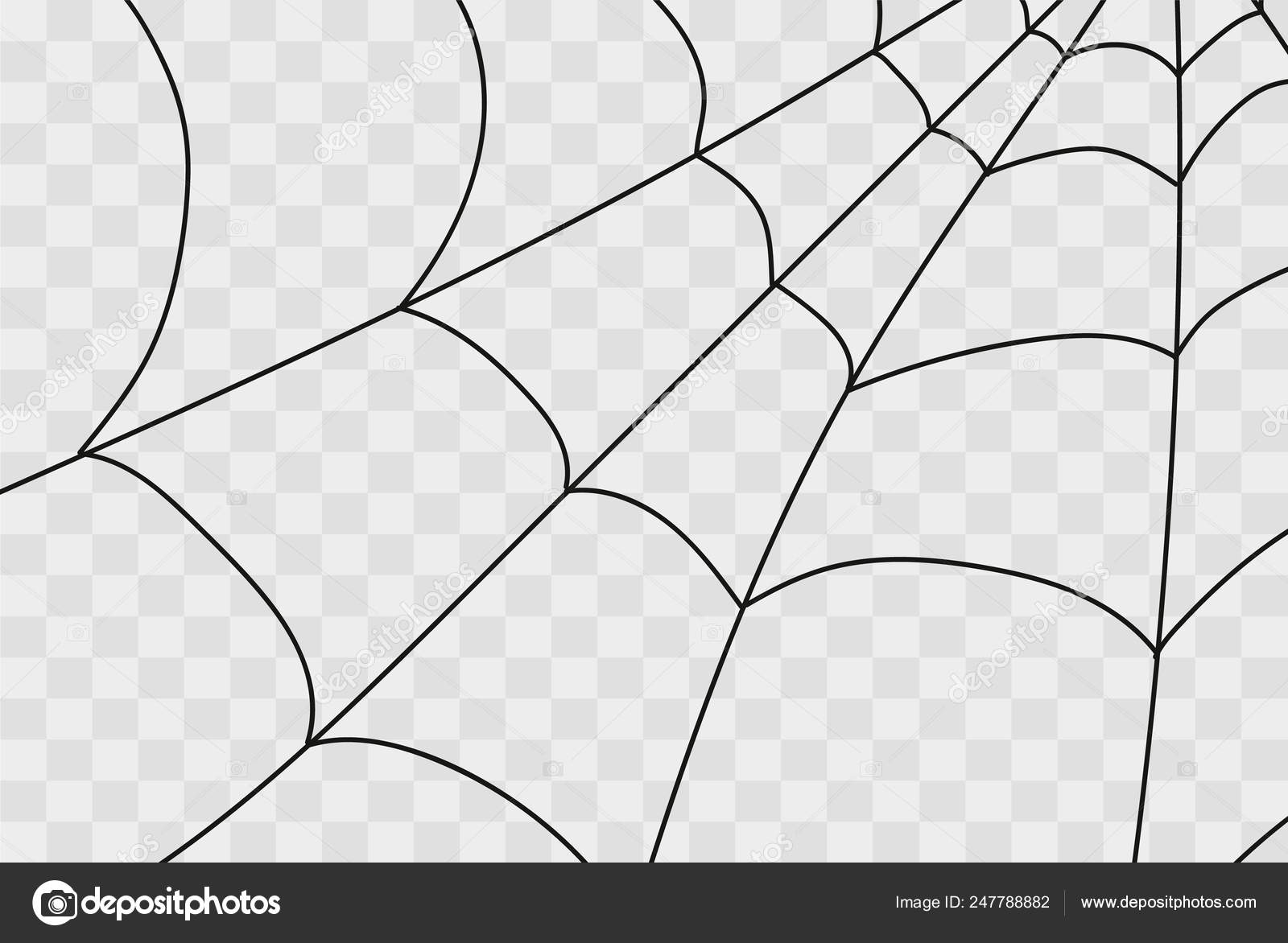 Cobweb isolated on white Stock Vector Image by ©roman11998866@gmail.com ...