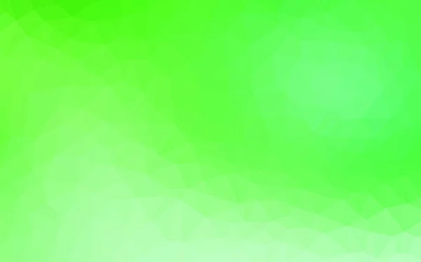 Lime Green Background Hd