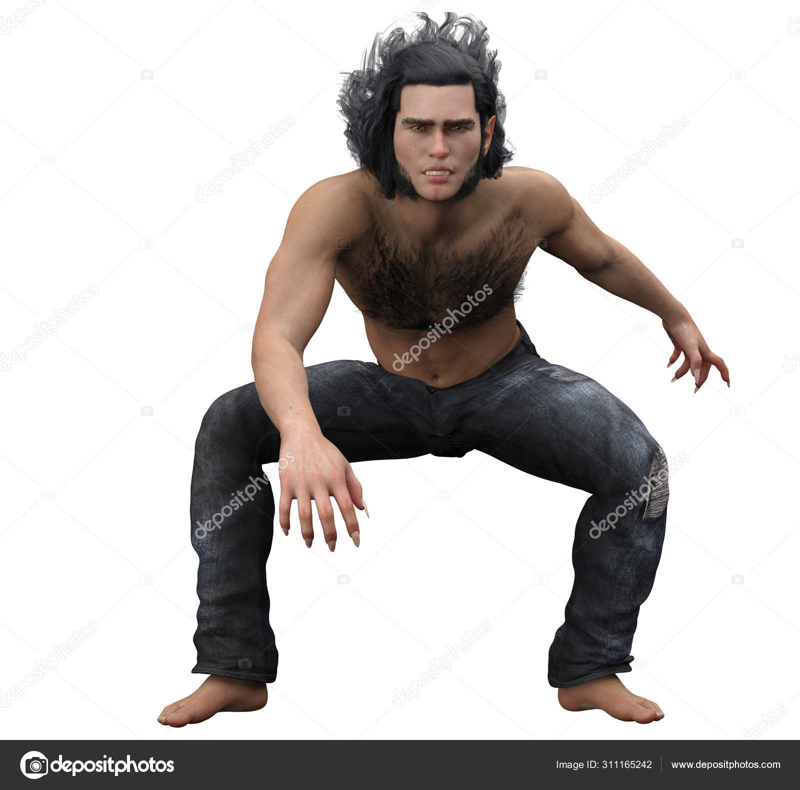 Werewolf Man Transforming Werewolf Crouching Showing Teeth Stock Photo ...