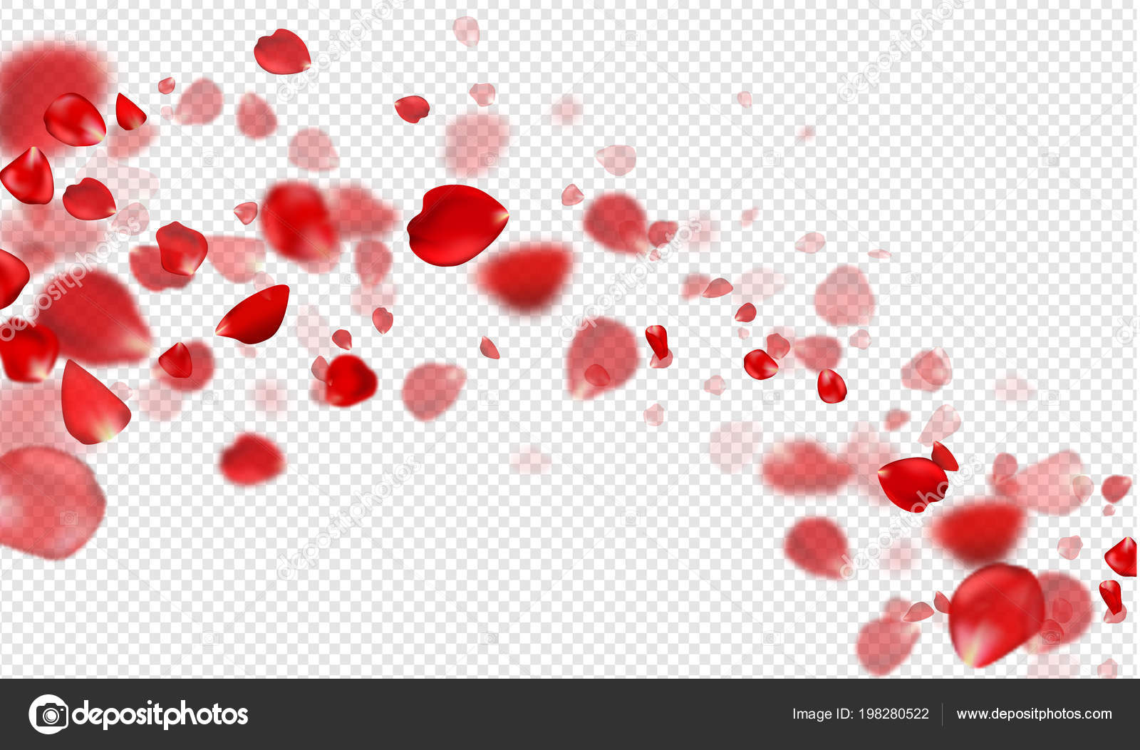Falling Red rose petals on a transparent background.Vector illustration ...