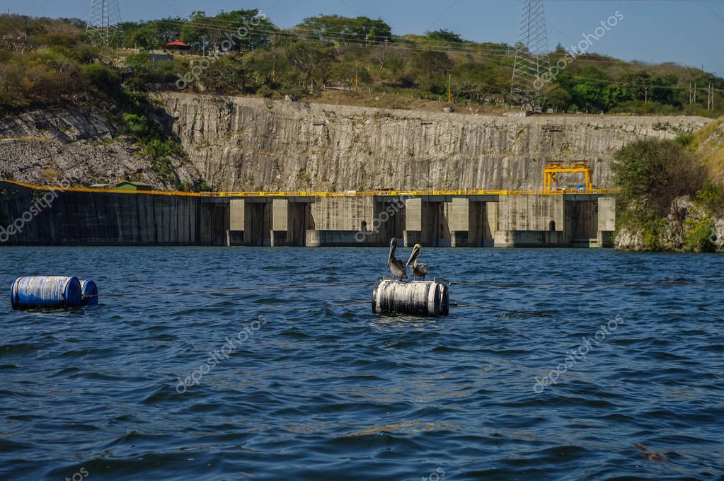 Pelícanos en embalse hidroeléctrico de Chicoasen al final del cañón ...