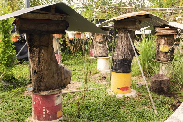 Bee farm - apiary with beehives from old stumps for black bees - carpenters (genus xylocopa) on ...