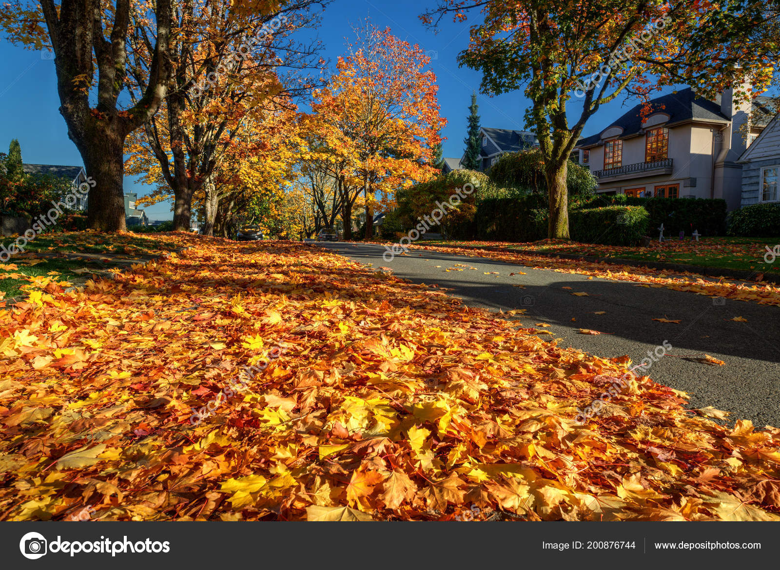 Beautiful Empty Autumn Park — Stock Photo © WestCoastScapes #200876744