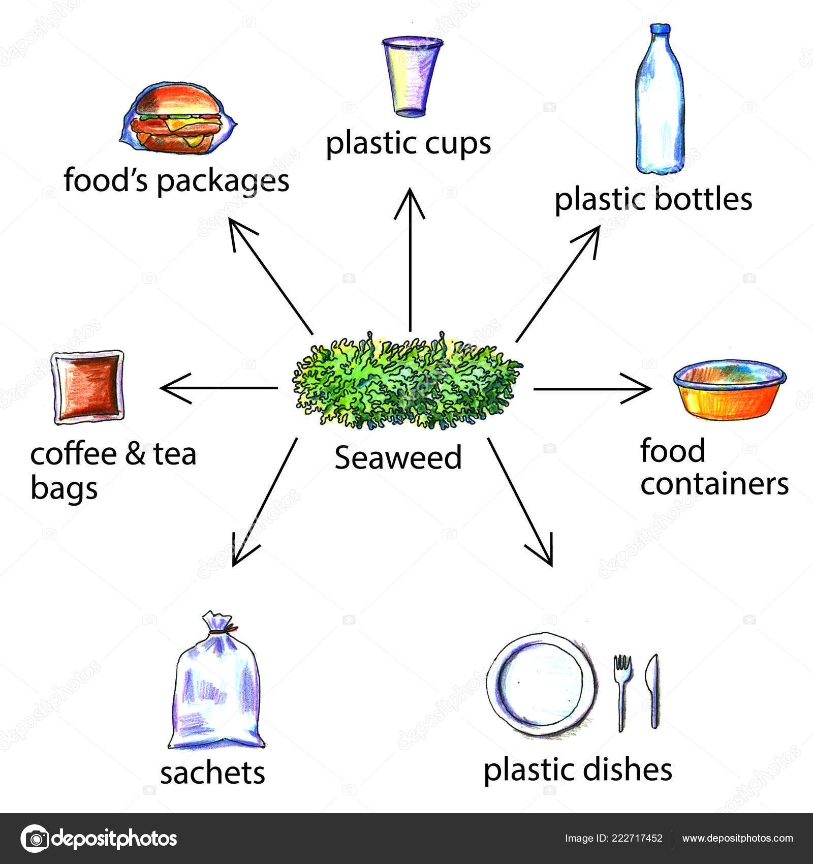 Life Cycle Of Plastic Bags | ppgbbe.intranet.biologia.ufrj.br
