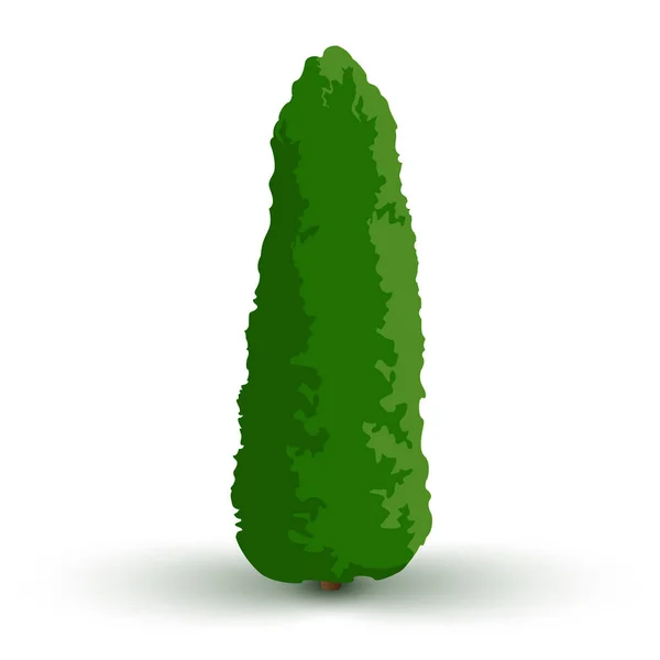 13 Columnar tree Vector Images | Depositphotos