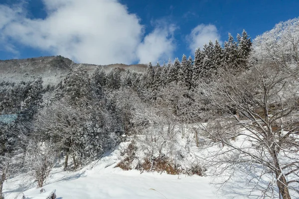 Mount myoko Stock Photos, Royalty Free Mount myoko Images | Depositphotos