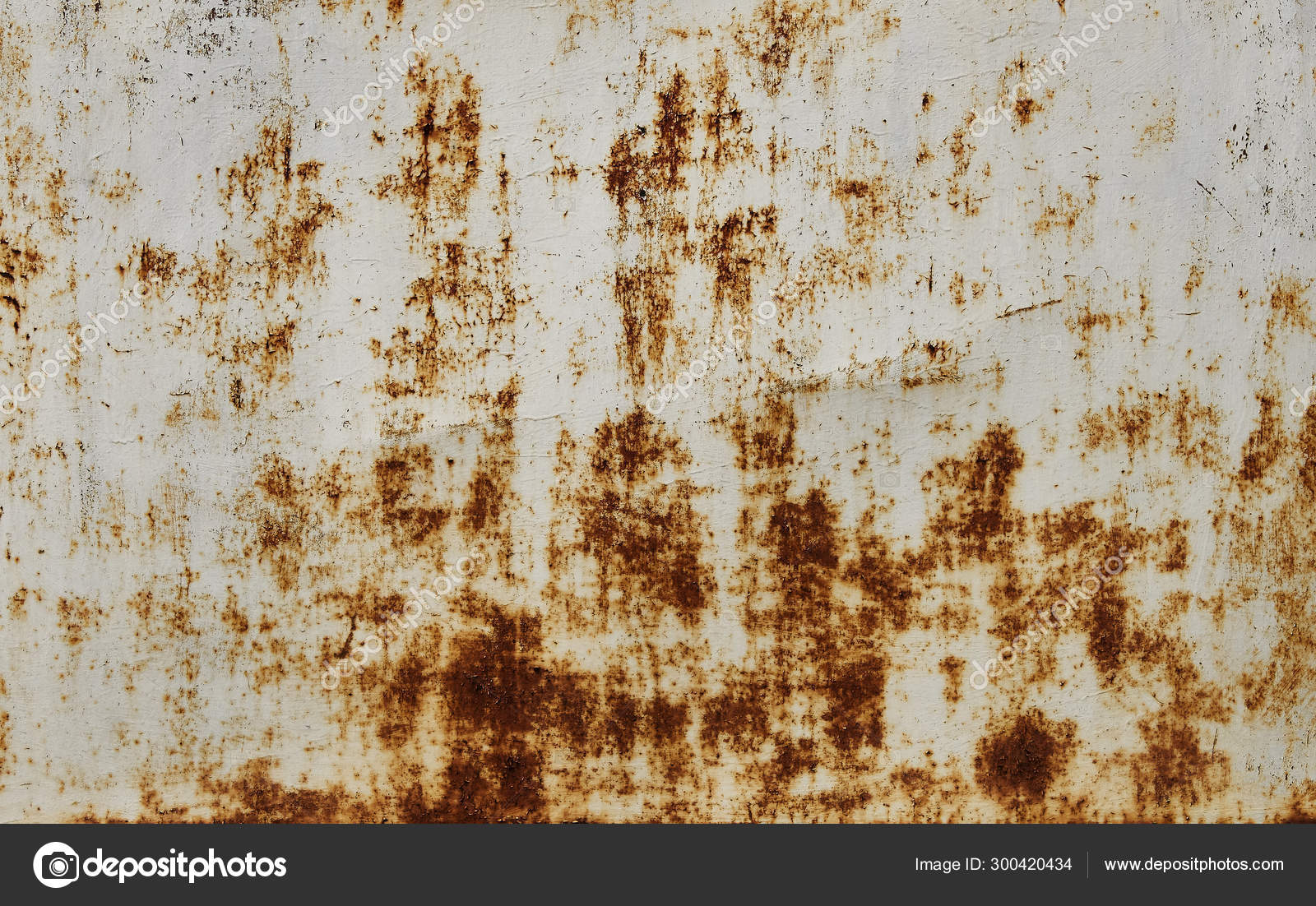 Rusted white painted metal wall. The metal surface rusted spots ...