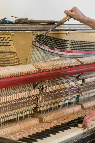 Piano tuning process. closeup of hand and tools of tuner working on ...