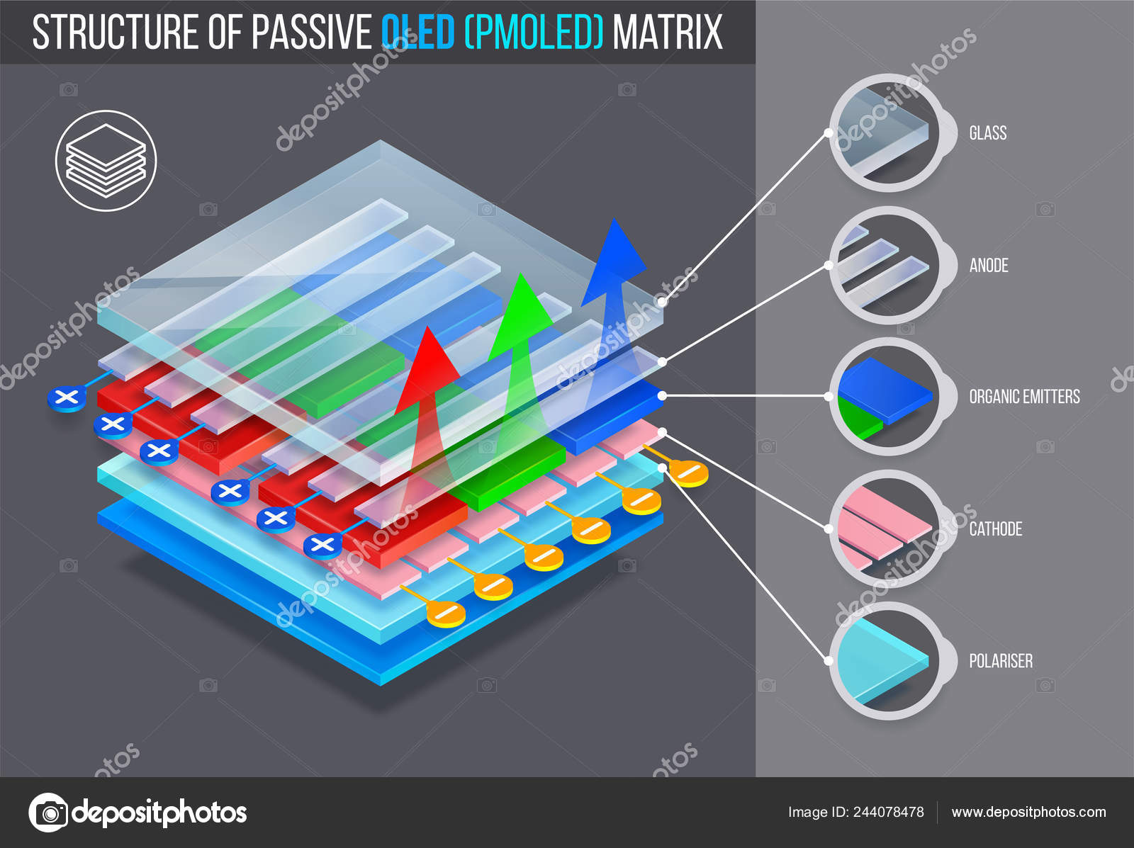 Layered Structure Passive Oled Pmoled Matrix Vector Illustration Stock ...