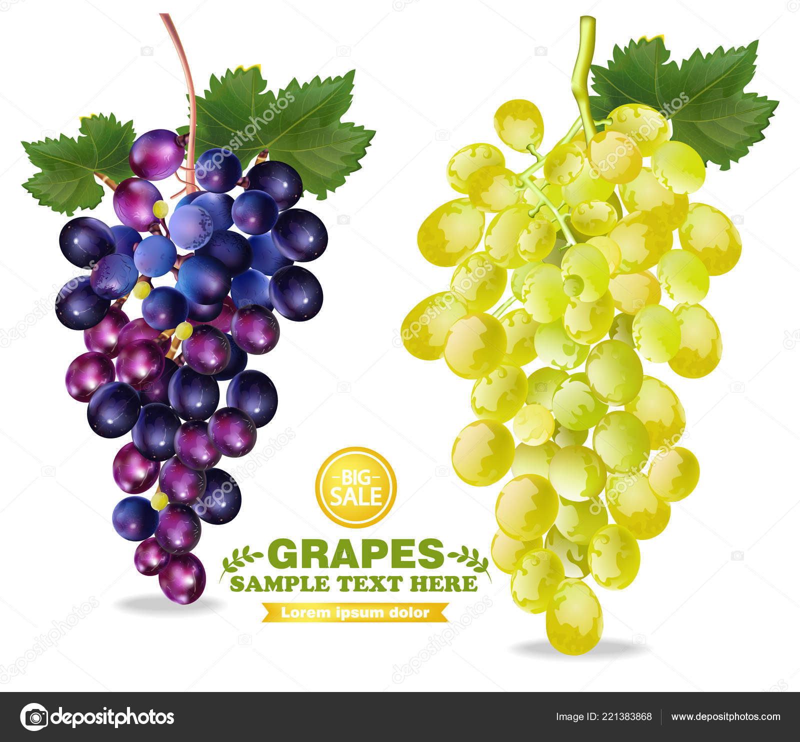Grapes Vector realistic isolated bunch 3d detailed illustrations Stock ...