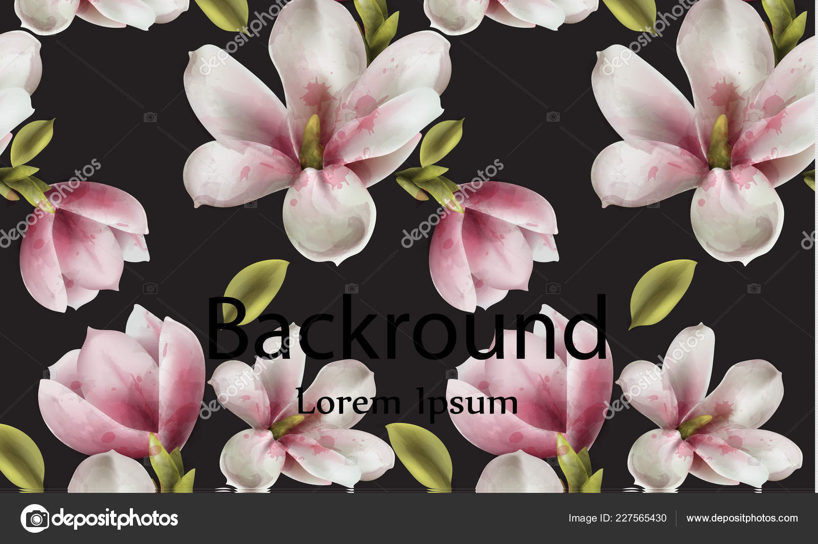 Magnolia background Vector watercolor. flowers decor dark color themes ...