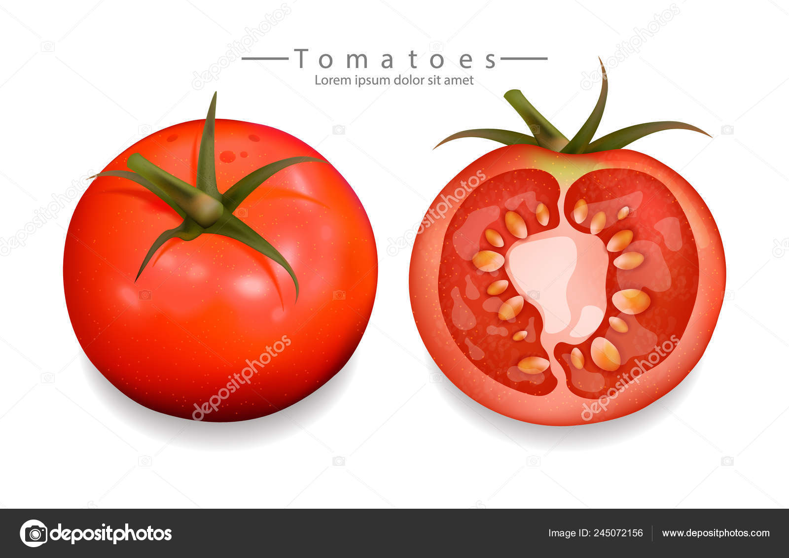 Tomato Template