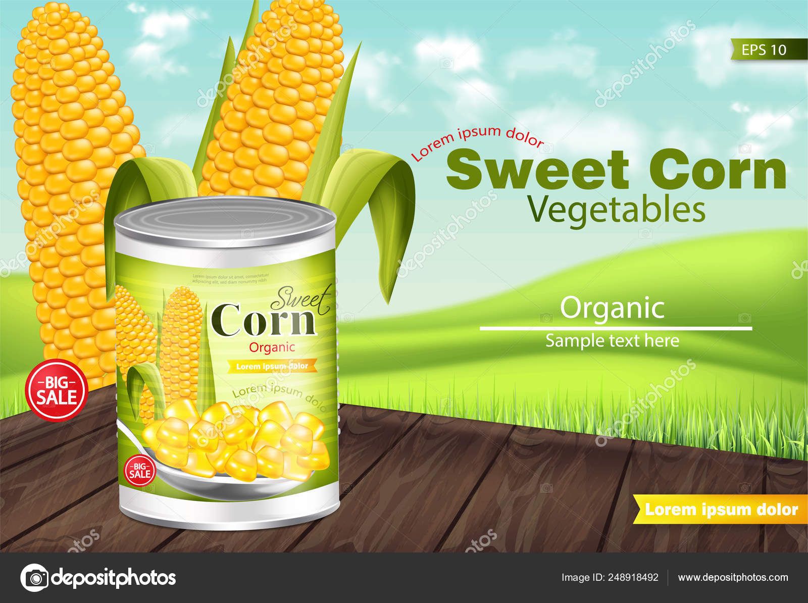 Sweet corn Vector realistic. Metal tin. Product package mock up. Label ...