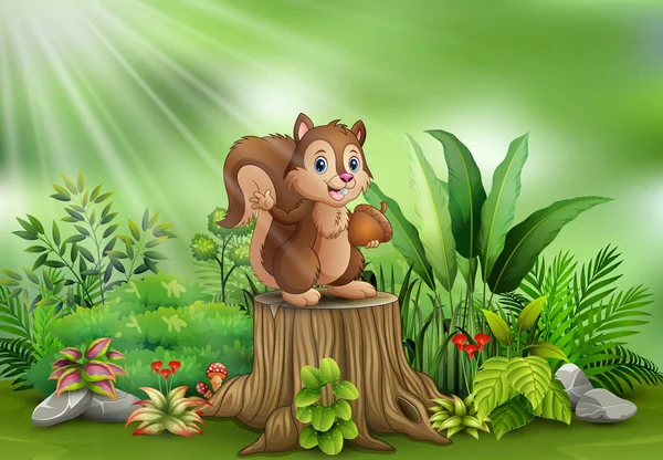 Cartoon Funny Squirrel Holding Pine Cone Standing Tree Stump Green Stock Vector Image by ...