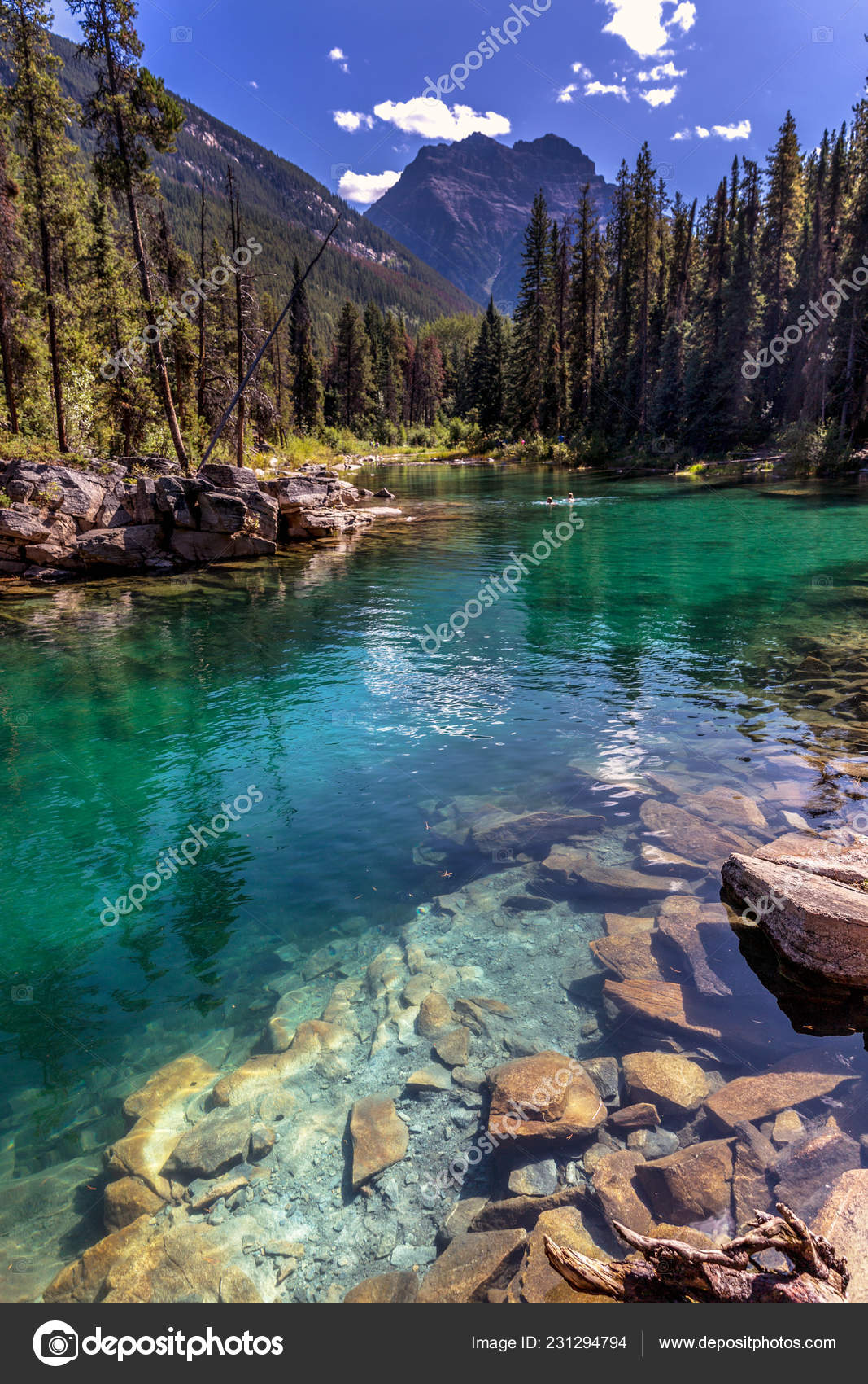 Very Clear Water Some Rocks Pine Trees Blue Sky Day — Stock Photo ...