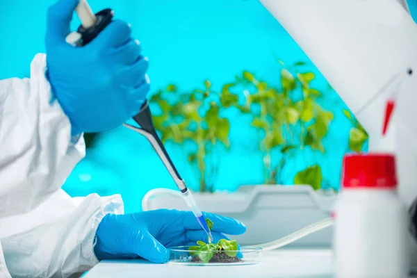 Biologist Examining Plant Roots Laboratory — Stock Photo © microgen ...