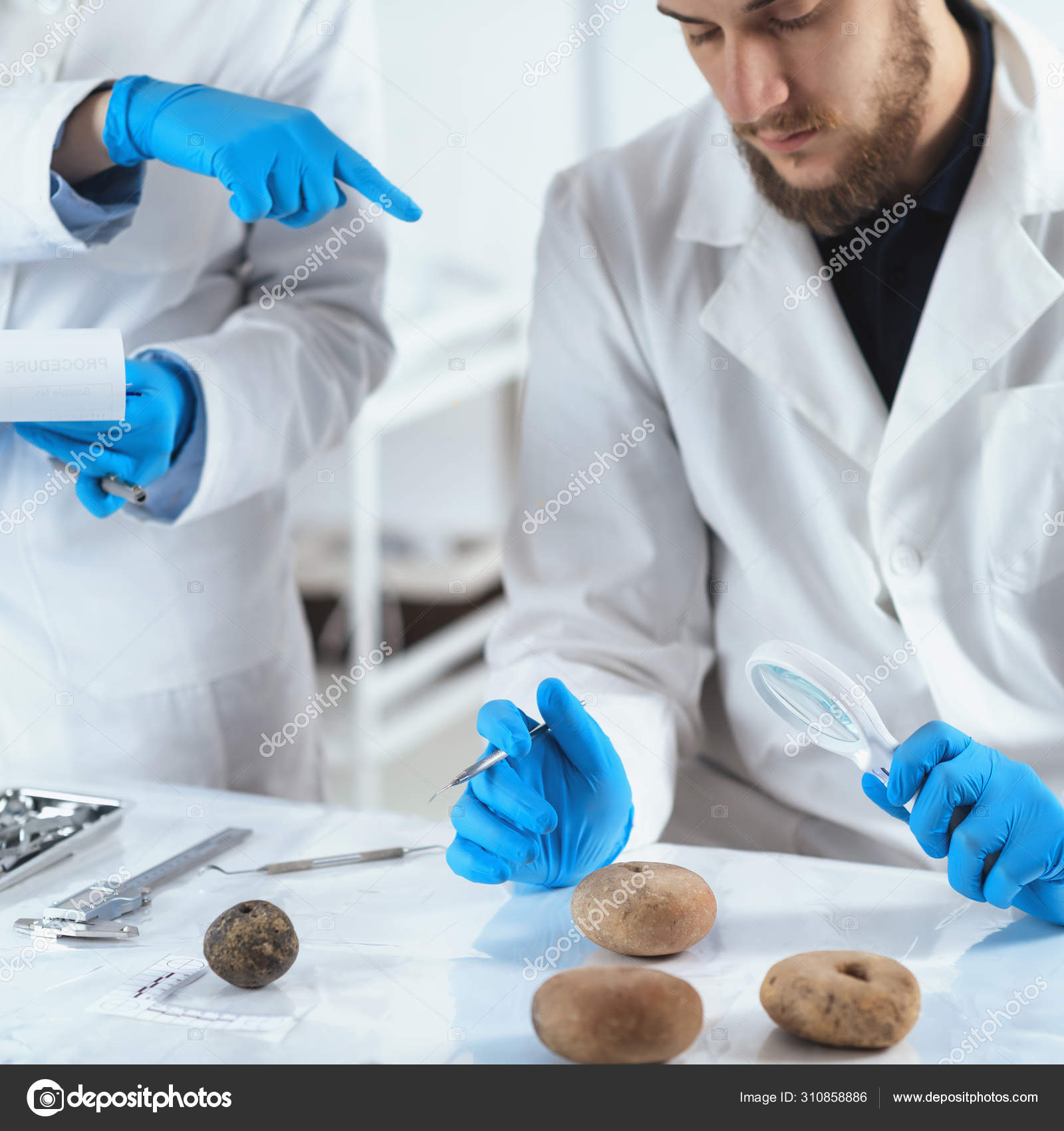 Archaeologist Analyzing Ancient Artifacts Loom Weight Fishing Net ...