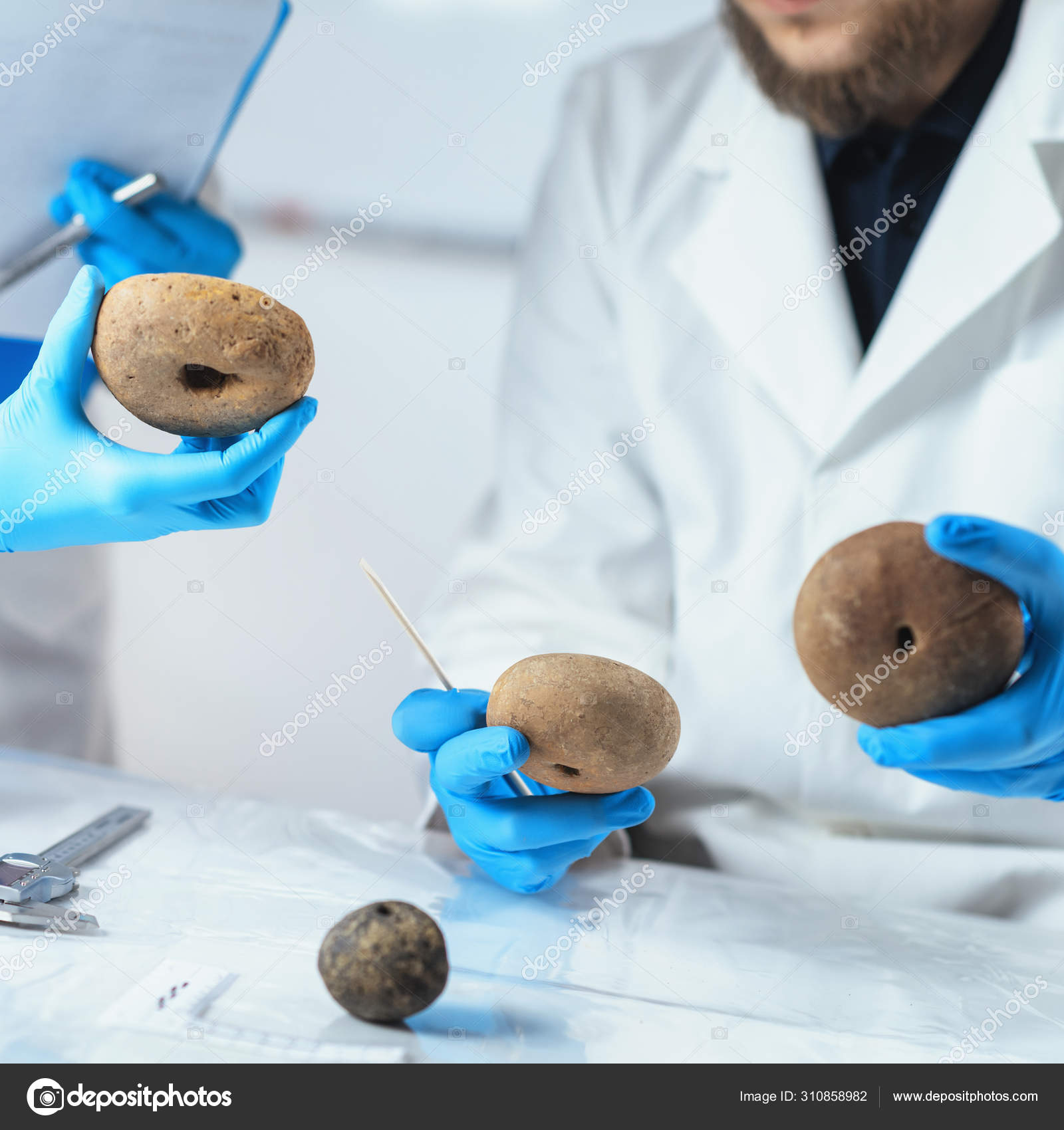 Archaeologist Analyzing Ancient Artifacts Loom Weight Fishing Net ...