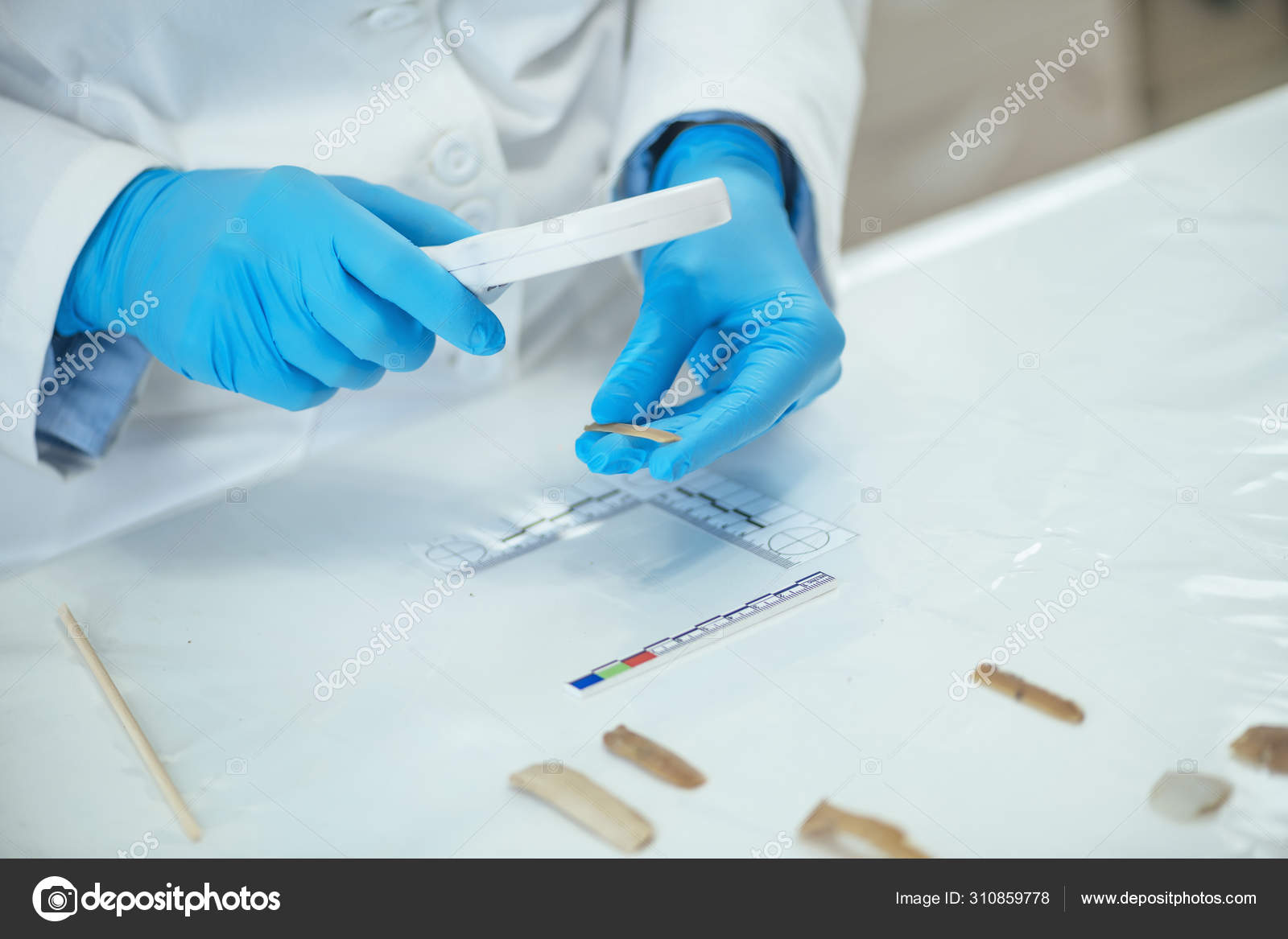 Archaeology Researcher Performing Lithic Analysis Magnifying Glass ...