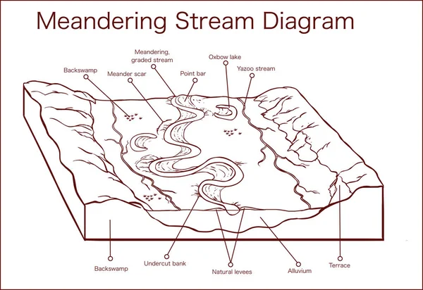 Meandering river Vector Art Stock Images | Depositphotos