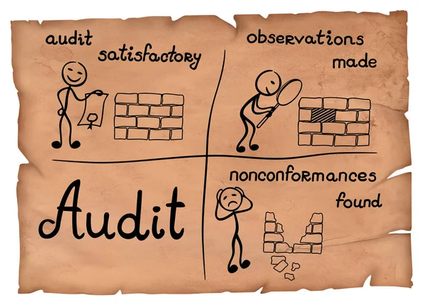 Internal Audit Cartoon