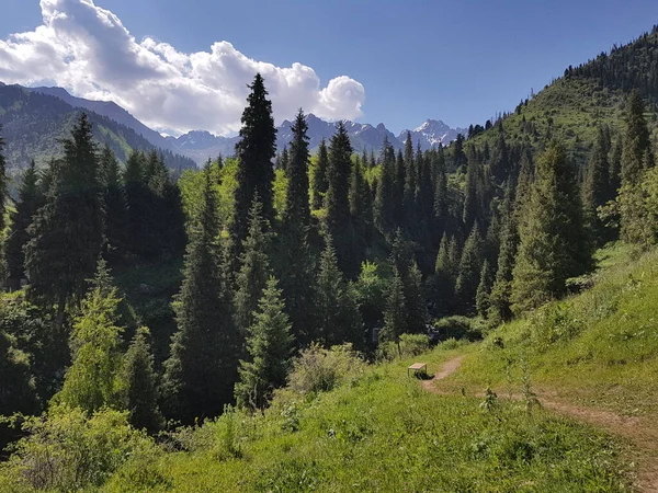 High country Stock Photos, Royalty Free High country Images | Depositphotos