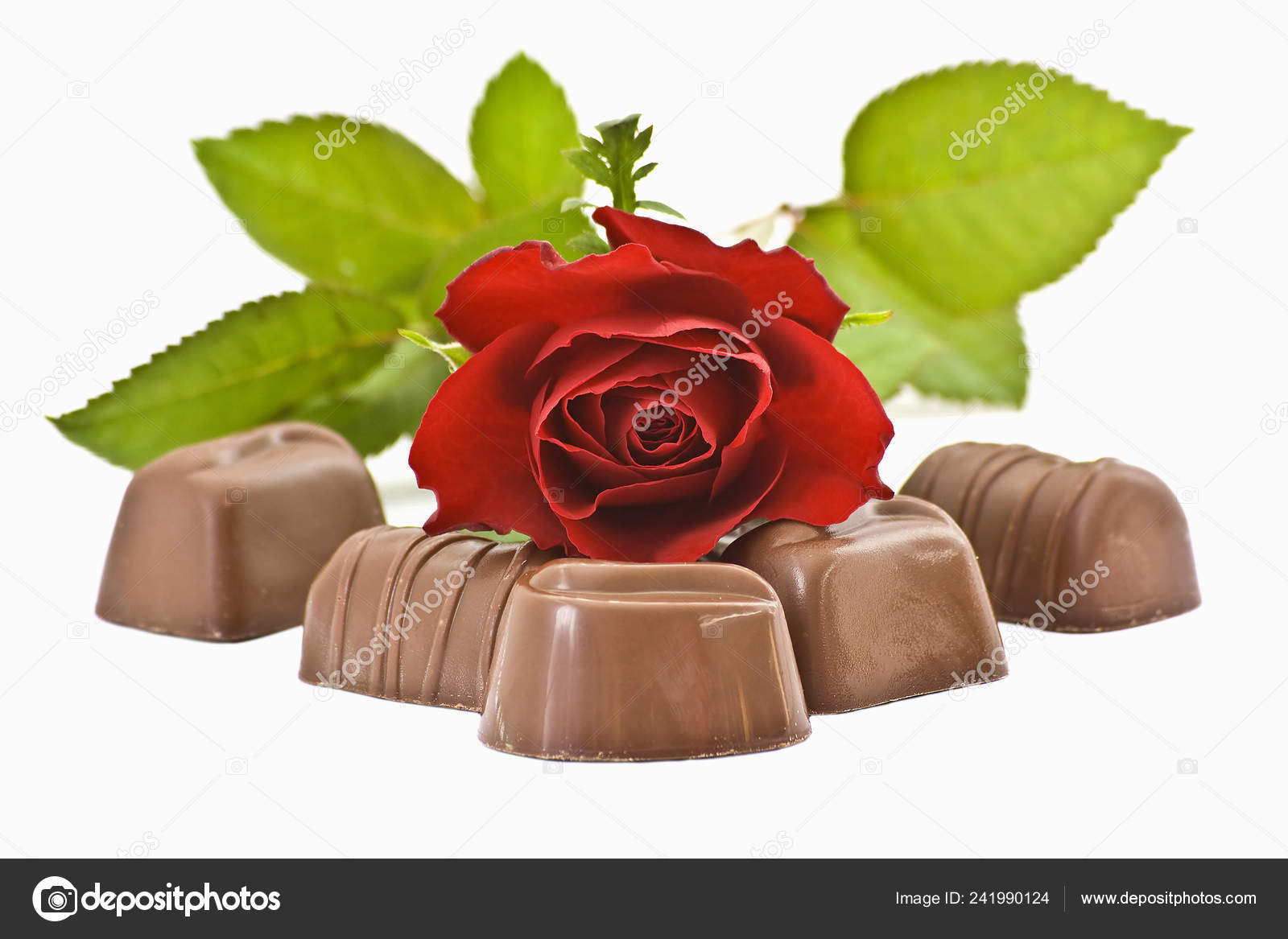 Chocolate Roses Isolated White Background — Stock Photo © mira ...