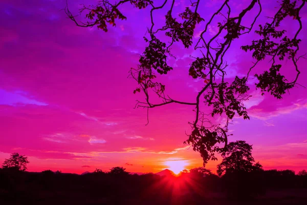 Pink sunset landscape Stock Photos, Royalty Free Pink sunset landscape ...