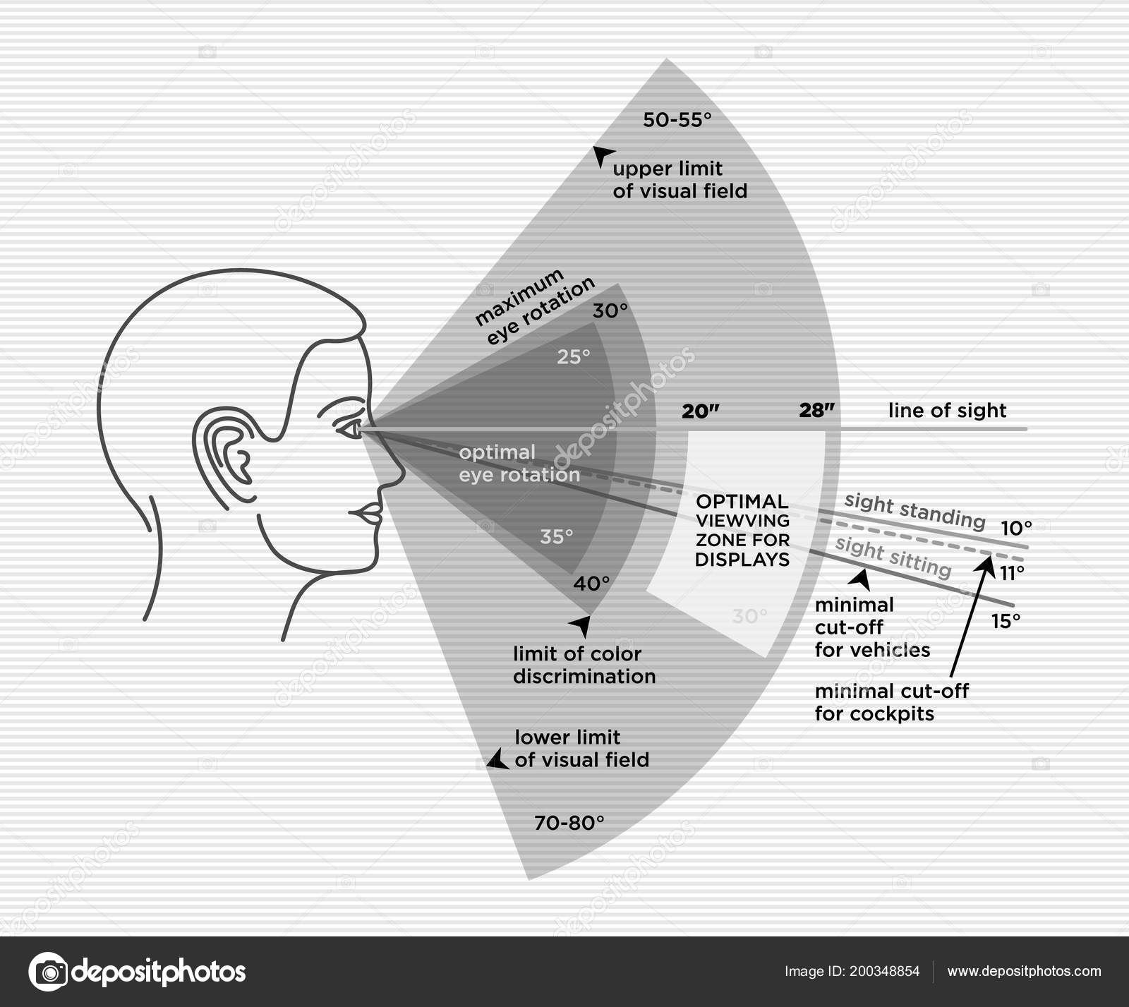 Image vectorielle Ergonomie Vue D'angle Optimale Portée Distance Vision ...