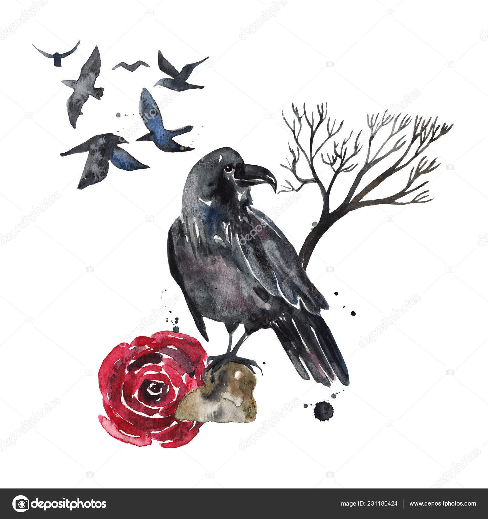 Beautiful Watercolor Gothic Composition Crow Roses Plants White ...