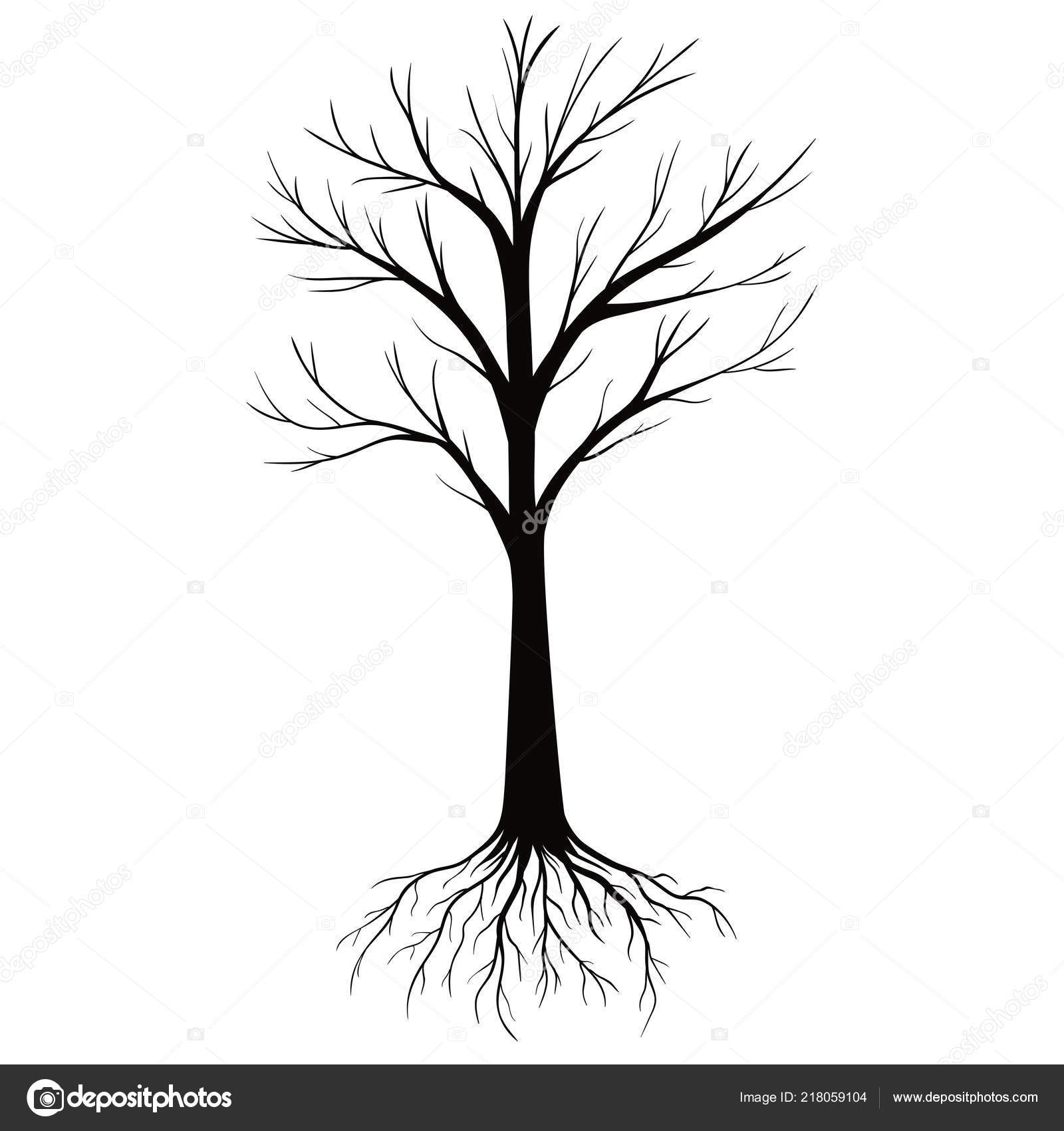 Tree With Roots Silhouette