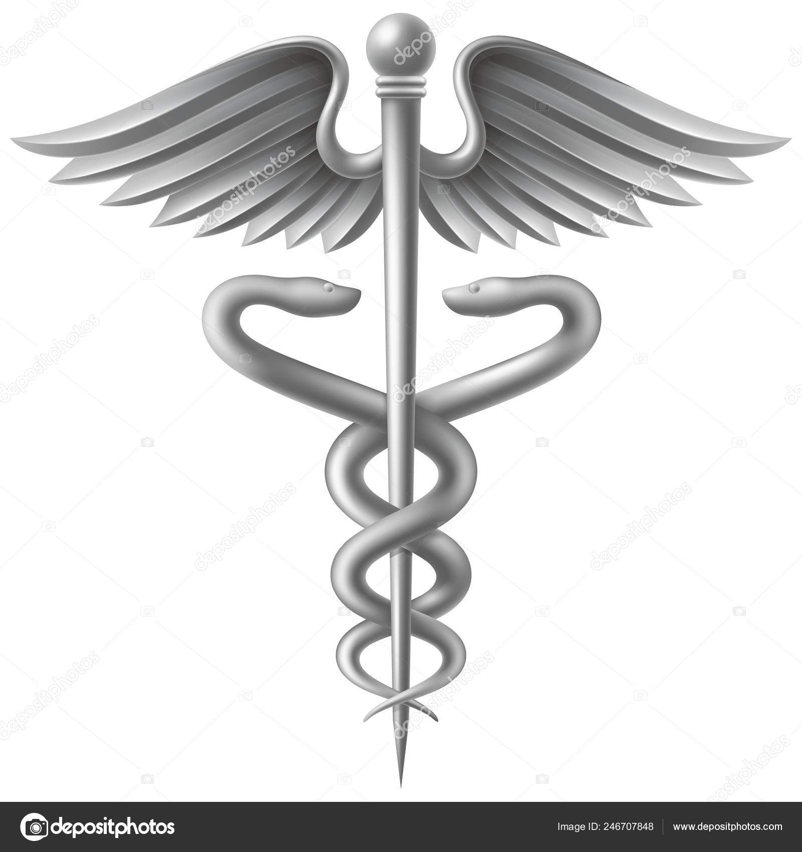 Silver Caduceus Vector Illustration Stock Vector Image by ©vixenkristy ...