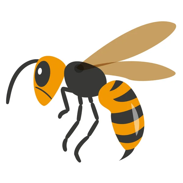 Illustration Botfly White Background Stock Vector by ©ankomando 390913198