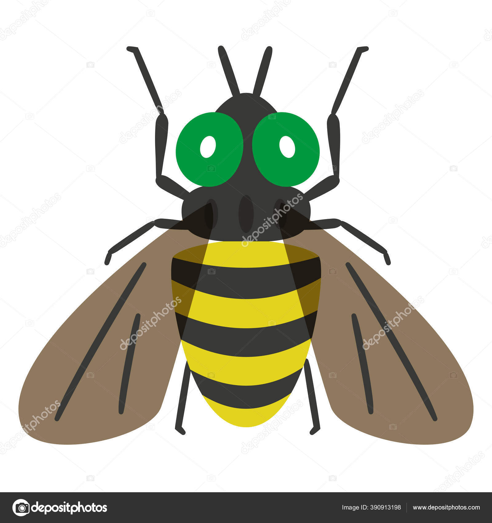 Illustration Botfly White Background Stock Vector by ©ankomando 390913198