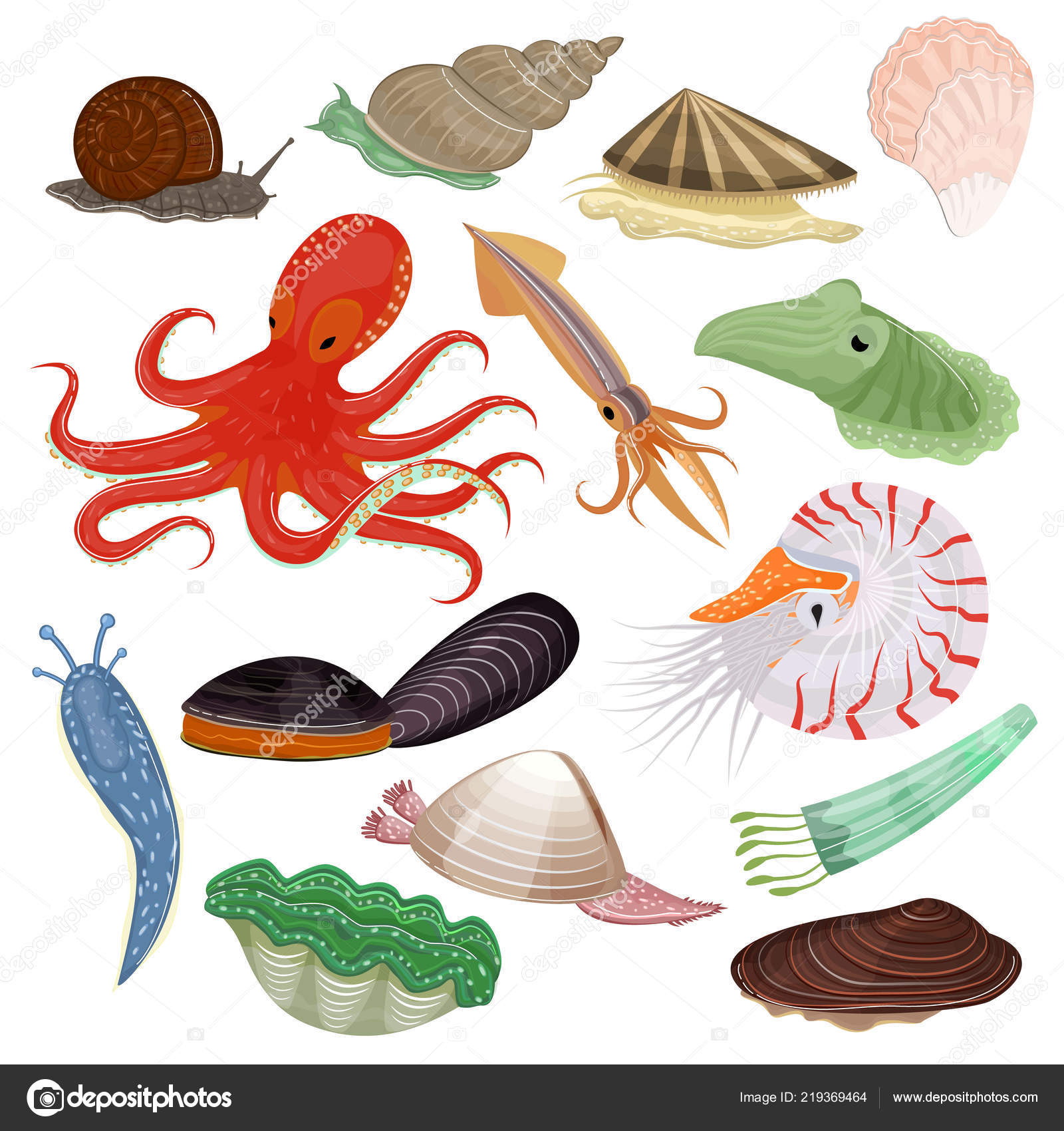 Mariscos vector animal marino pulpo moluscos tentáculo y carácter ...