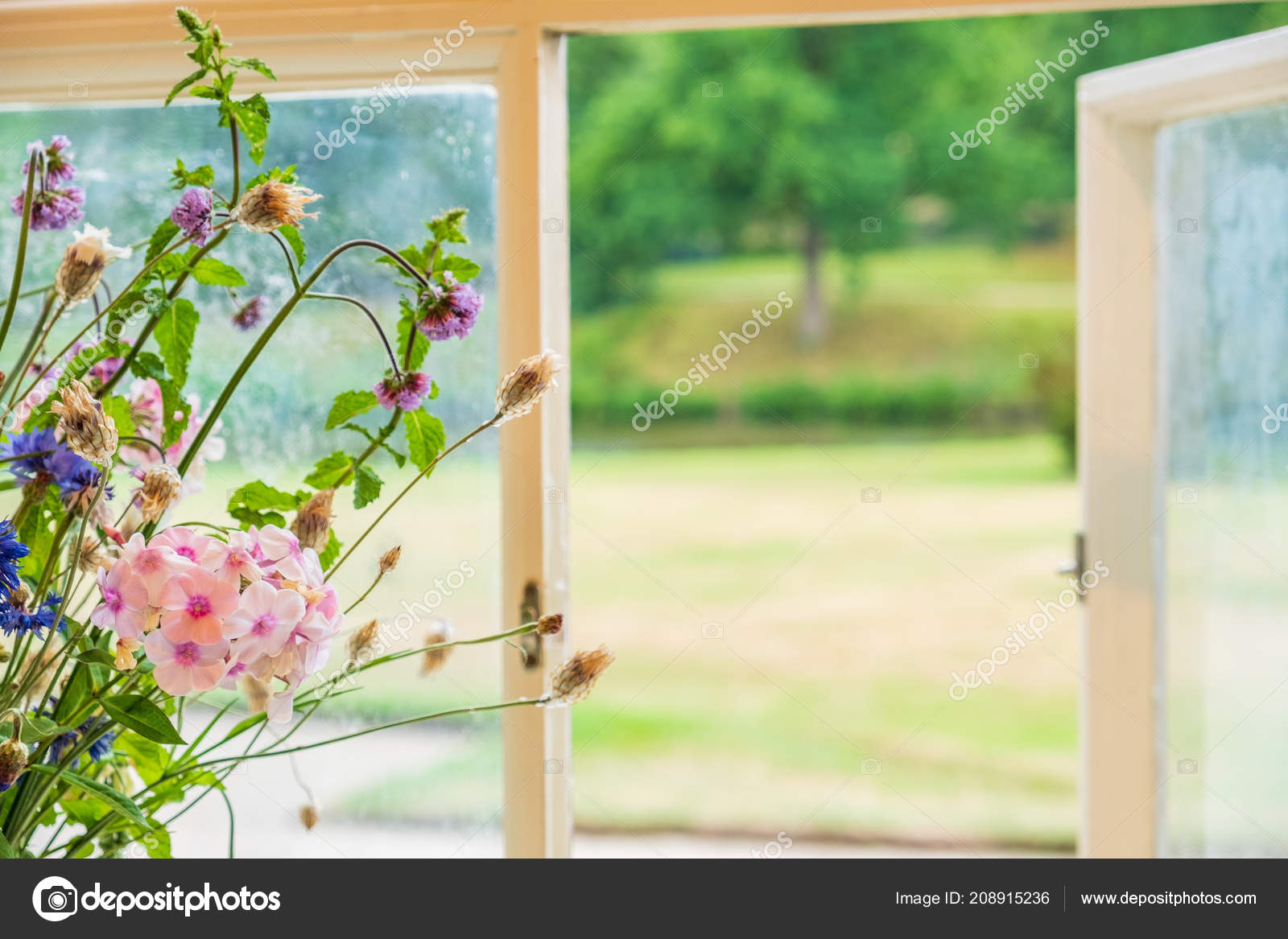 Flowers Window View Lyme Hall Stately Home Peak District Cheshire Stock ...