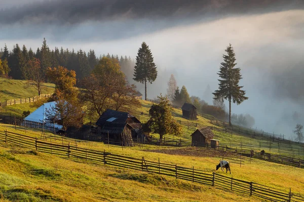 Beautiful refuge Stock Photos, Royalty Free Beautiful refuge Images ...