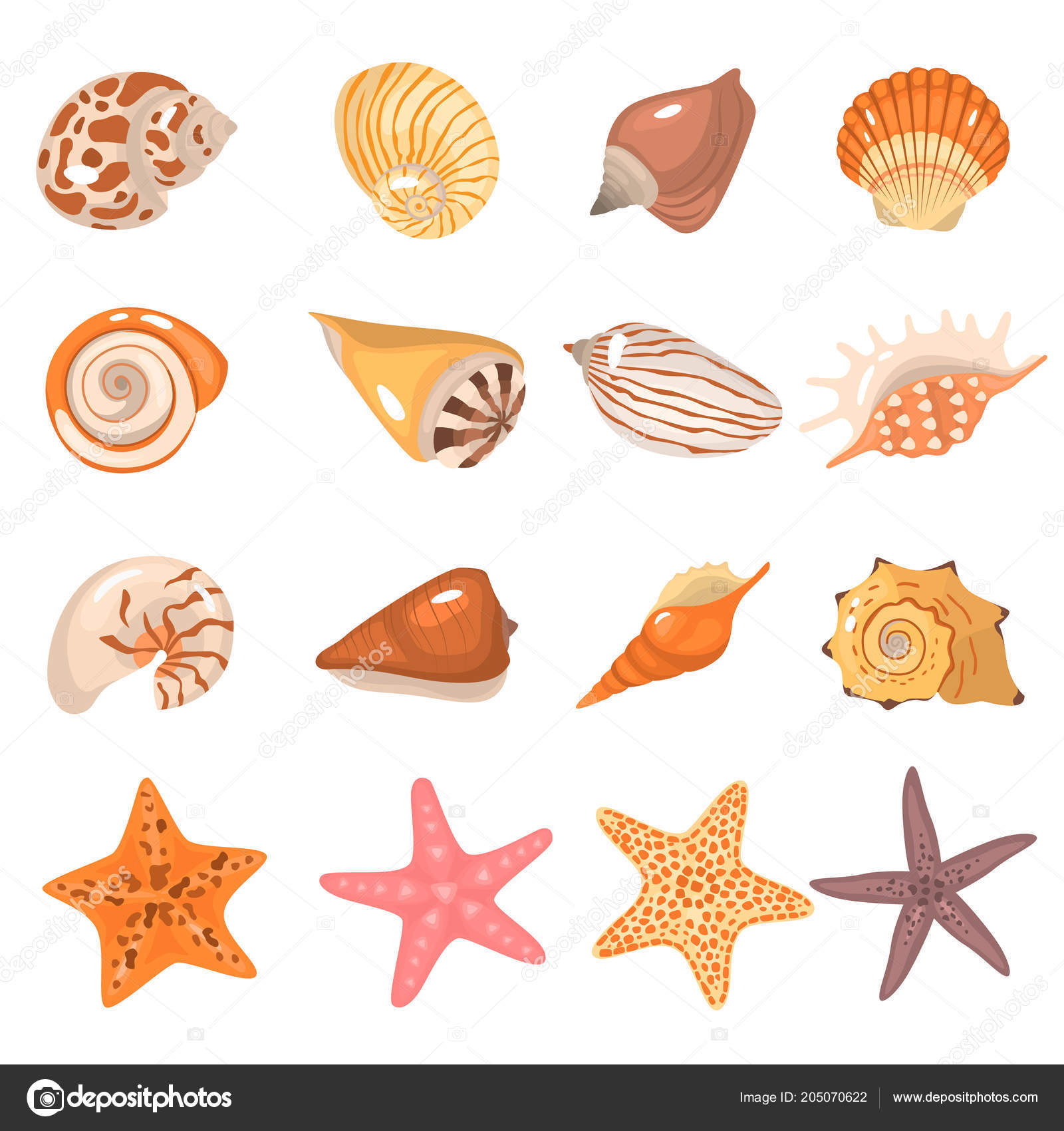 Sea Shells Starfish Color Cartoon Icons Set Stock Vector Image by ...