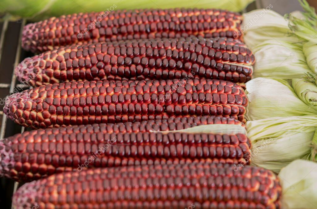 Primer plano de granos rojos a la parrilla en la parrilla caliente.El ...