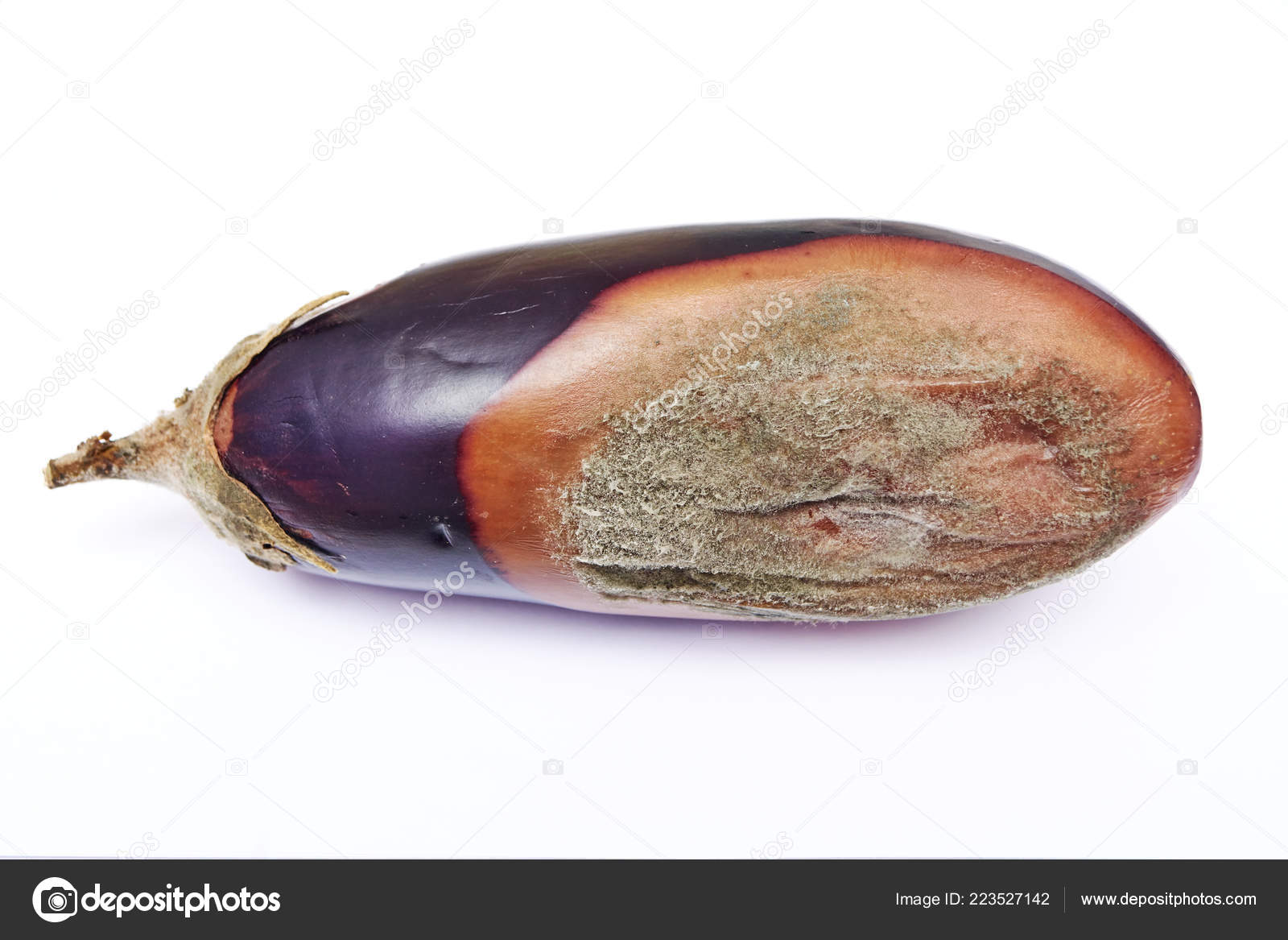 Spoiled Eggplant