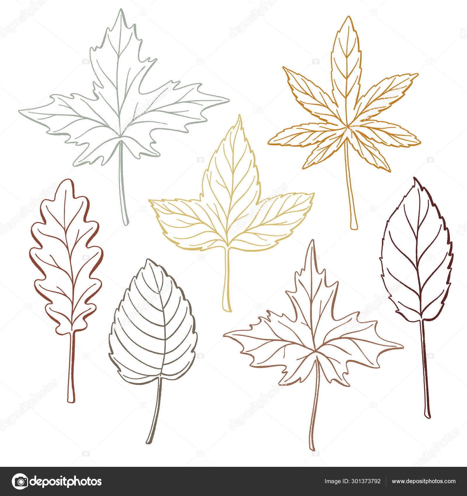 Set of hand drawn fall leaves, outlines Stock Vector Image by ©big_and ...