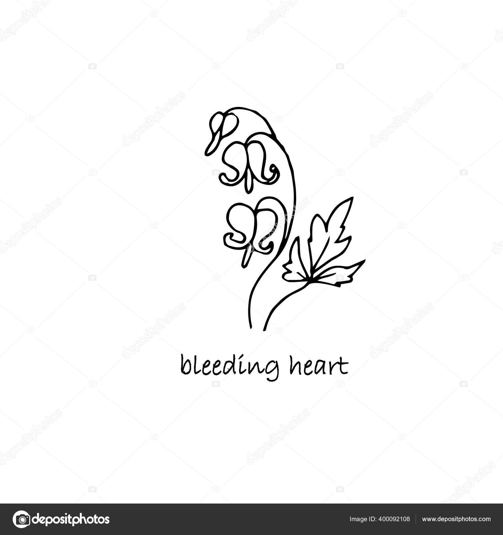 Bleeding Heart Vine Tattoo