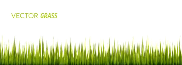 Vektorel çimen images vectorielles, Vektorel çimen vecteurs libres de ...