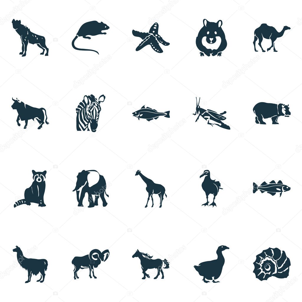Conjunto de iconos de la fauna con saltamontes, elefantes, hienas y ... Conjunto de iconos de la fauna con saltamontes, elefantes, hienas y ...