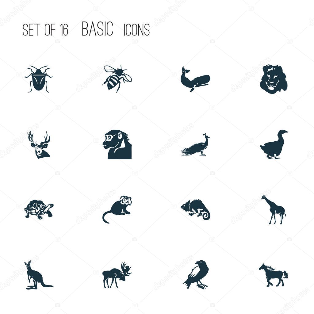 Conjunto de iconos de fauna con insecto, ganso, camaleón y otros ... Conjunto de iconos de fauna con insecto, ganso, camaleón y otros ...