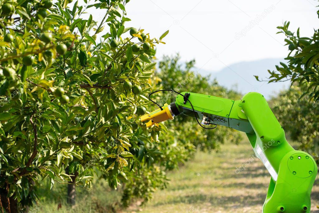 El brazo robot está trabajando en la granja inteligente. Transformación digital de la ...
