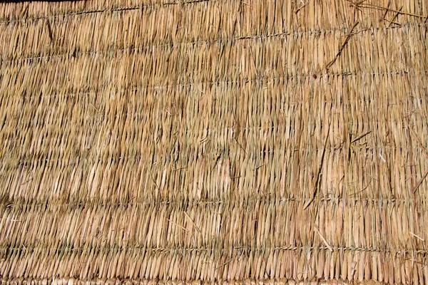 Thatched Roof Texture Seamless
