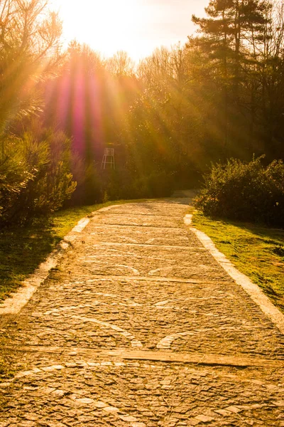 Sunny pathway Stock Photos, Royalty Free Sunny pathway Images ...