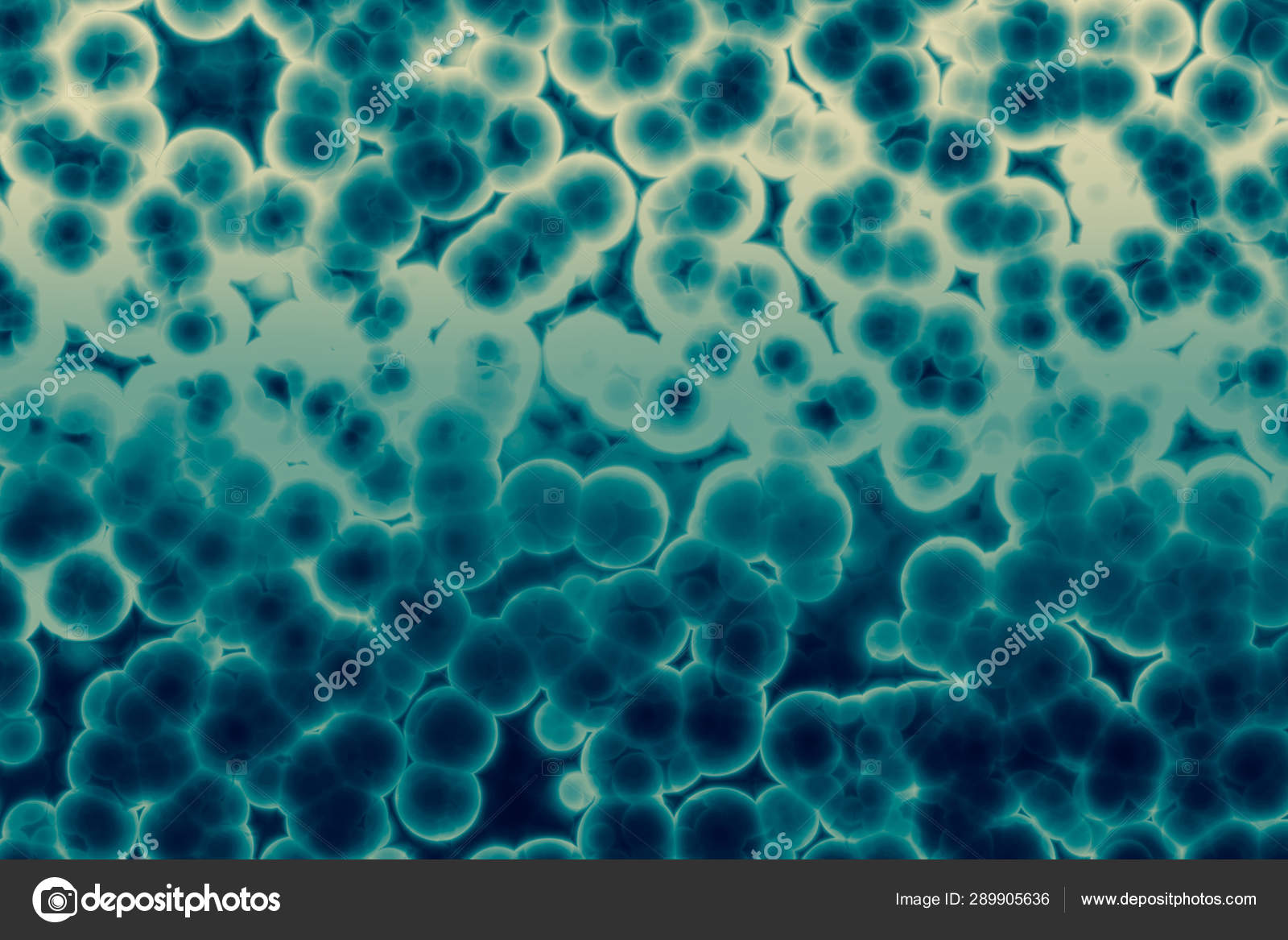 Shape of bacterial cell: cocci, bacilli, spirilla bacteria Stock Photo ...